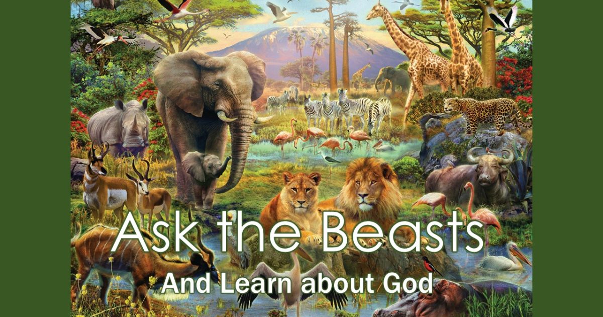 Ask the Beasts and Learn about God | Official Website of the Reclaiming ...